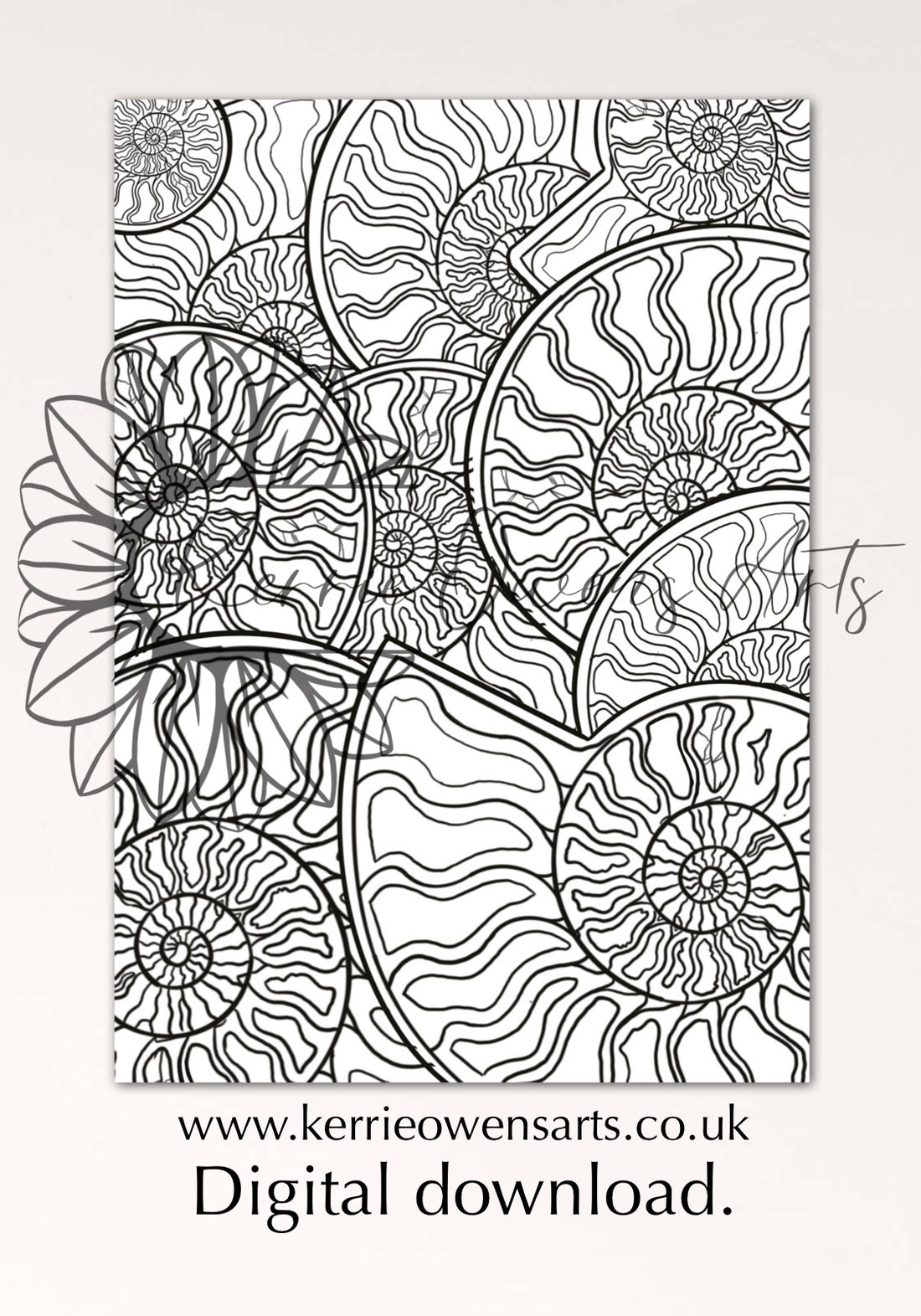 Ammonite fossil colouring in page, digital download. – Kerrie Owens Arts